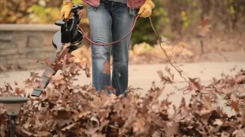 Toro Super Blower Vac